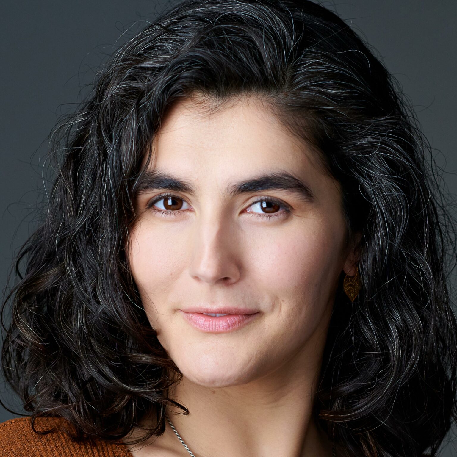 Shakespeare On Tour - San Francisco Shakespeare Festival