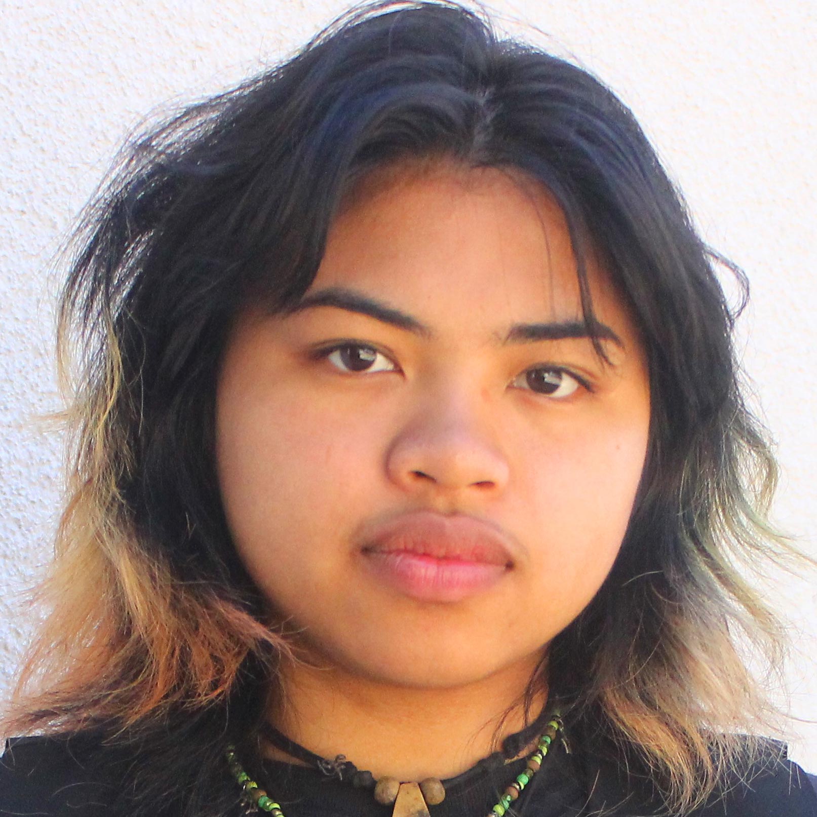 Shakespeare On Tour - San Francisco Shakespeare Festival